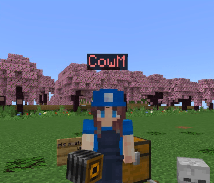 November 27, 2024 – Inka @ Rawhiti School